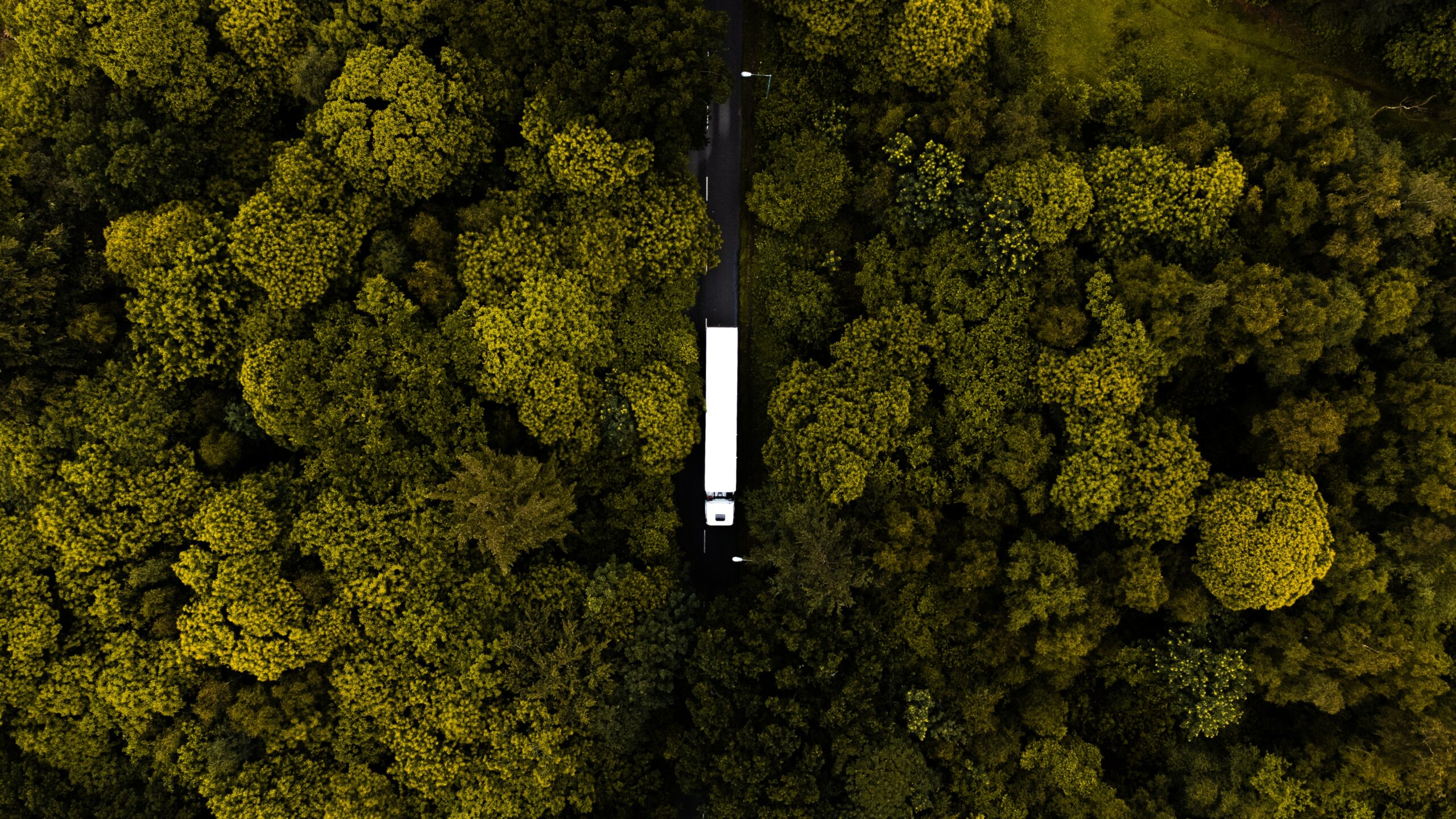 Red Lab Logistics | Third-party Logistics and Consulting